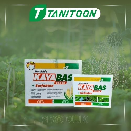 KAYABAS 555 SC 500 ML – Tanitoon ID