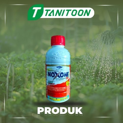 NOXONE 276 SL 1 LTR – Tanitoon ID
